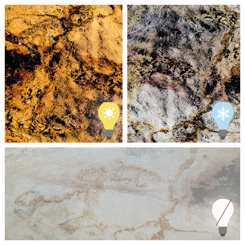 Mosaic Tile USA: Translucent Blanco Stone Veneer